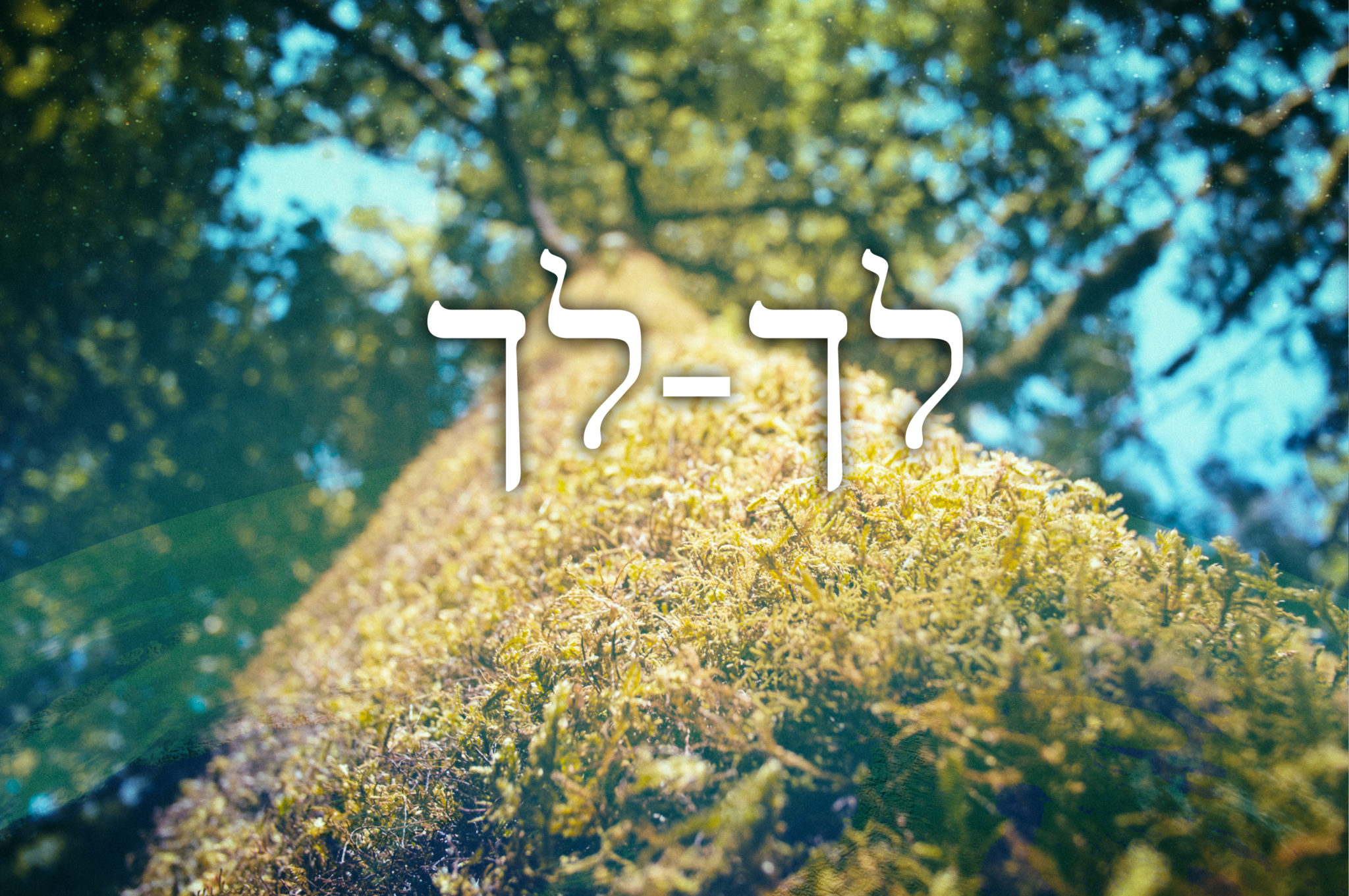 lech lecha - The Meaningful Life Center