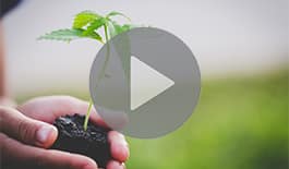 Why Life Matters - The Meaningful Life Center